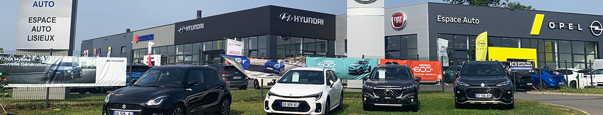 ESPACE AUTO LISIEUX - 14100 GLOS - La Centrale